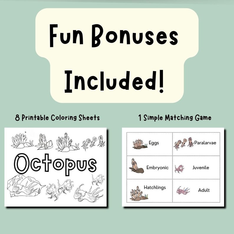 Octopus Life Cycle Wheel Craft for Preschool Science Lesson, Montessori ...