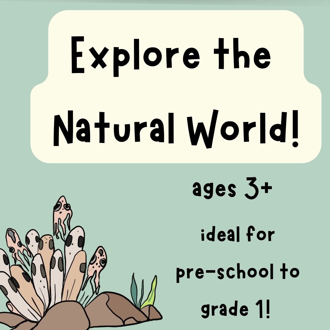 Octopus Life Cycle Wheel Craft for Preschool Science Lesson, Montessori ...