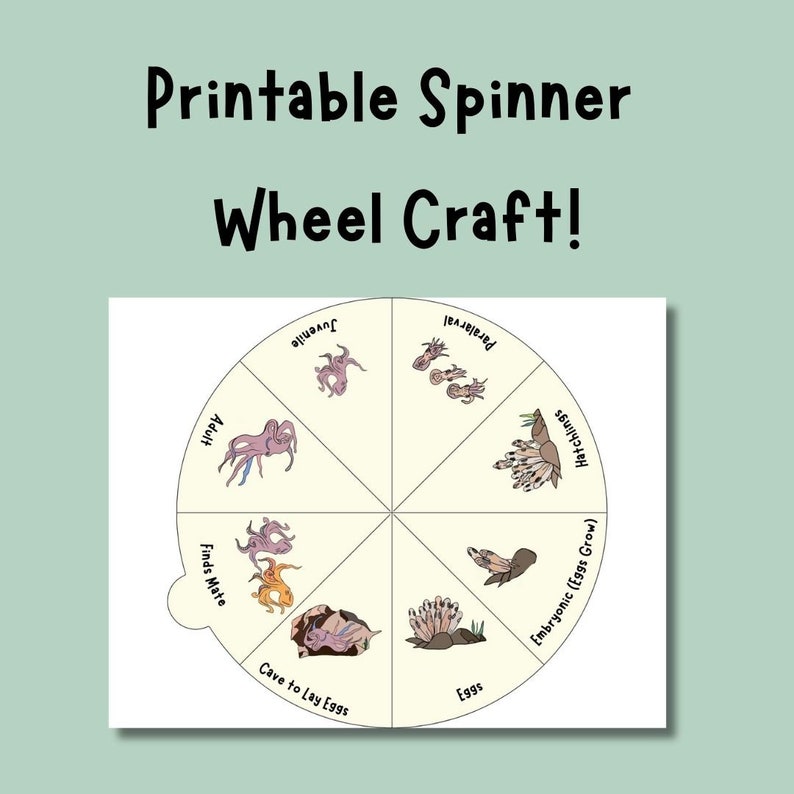 Octopus Life Cycle Wheel Craft for Preschool Science Lesson, Montessori ...