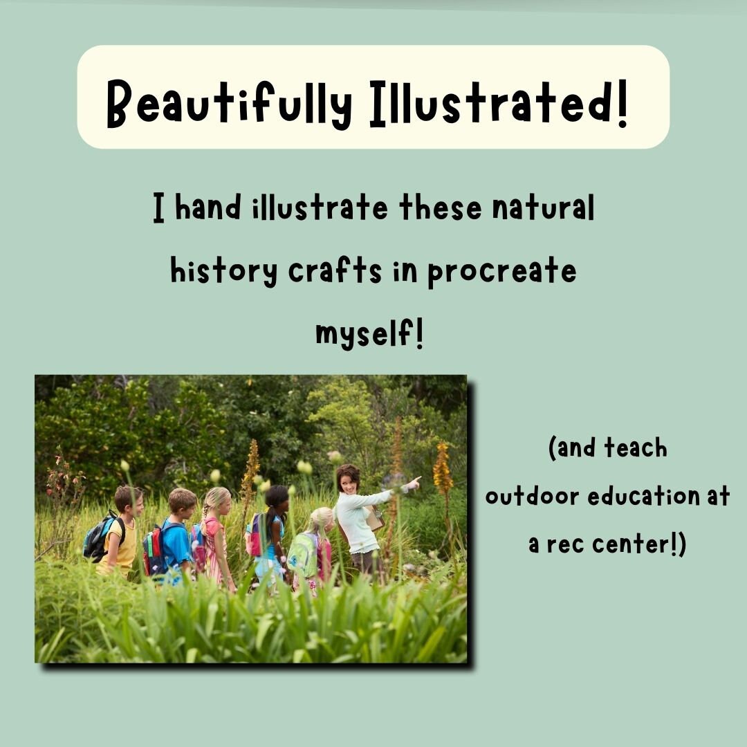 Octopus Life Cycle Wheel Craft for Preschool Science Lesson, Montessori ...