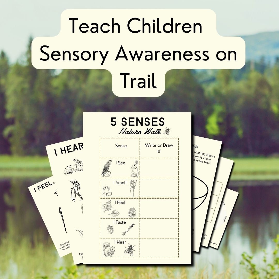 5 Senses Nature Walk, Nature Sensory Activity Ideas for Kid, Nature ...