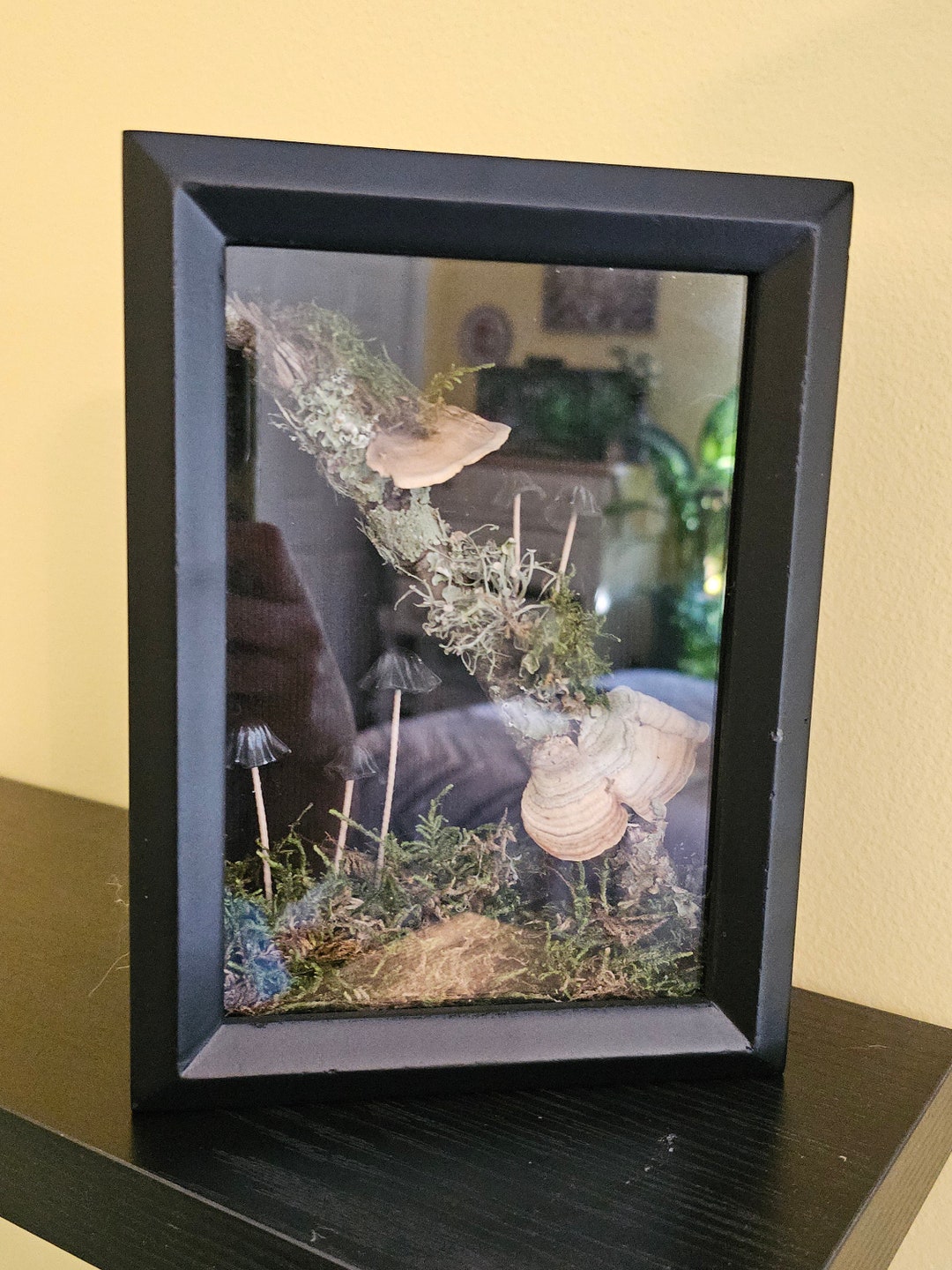 Small Mushroom Shadow Box - Etsy