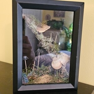 Small Mushroom Shadow Box - Etsy