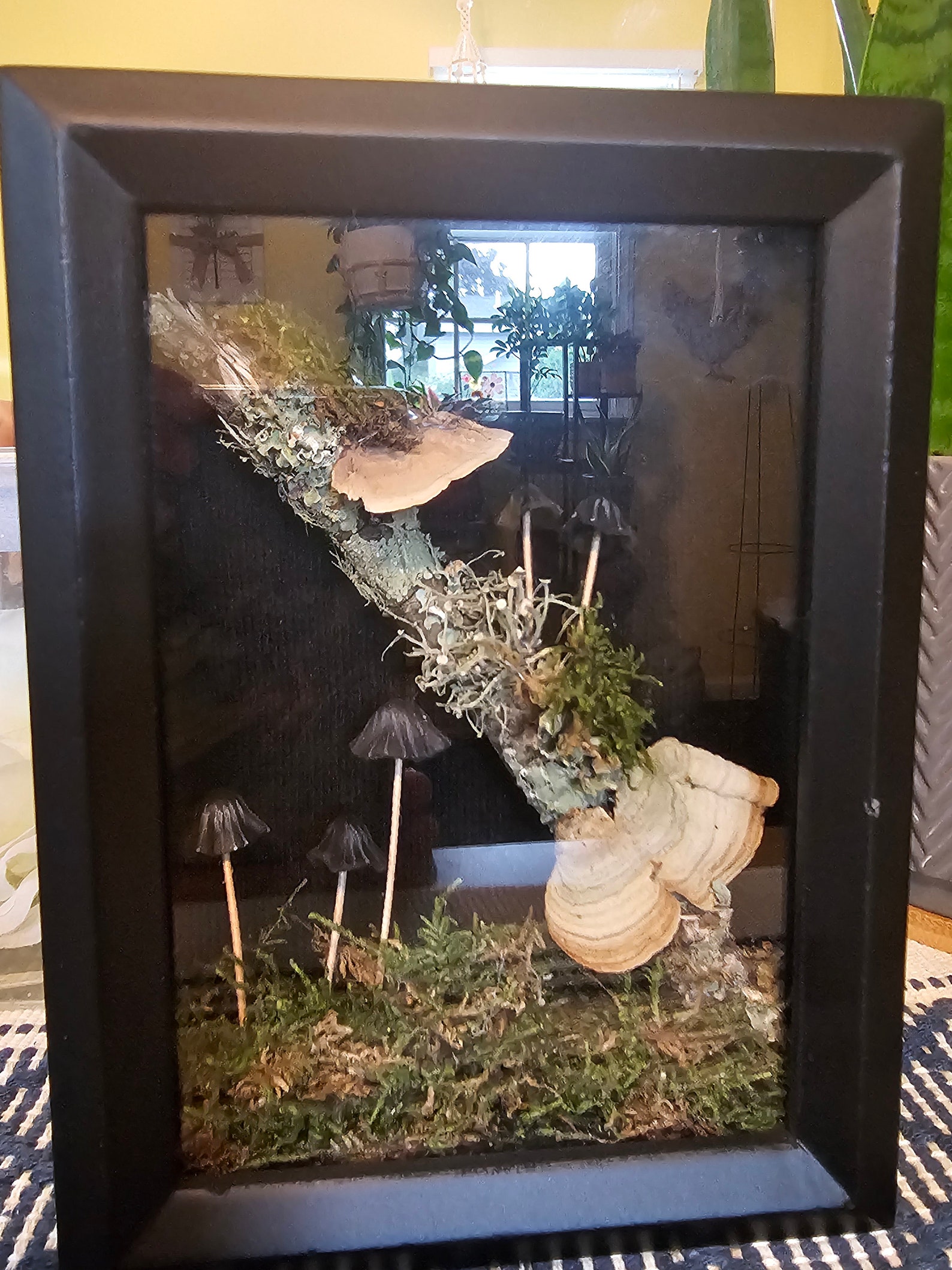 Small Mushroom Shadow Box - Etsy