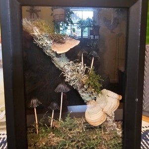 Small Mushroom Shadow Box - Etsy