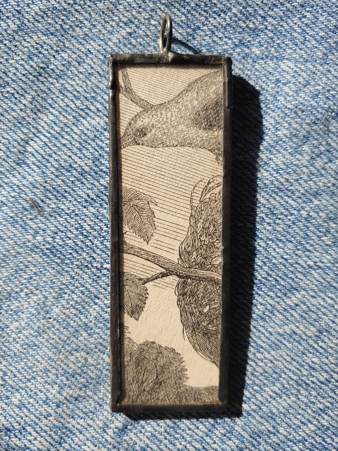 1888 Illustrated Male and Female Birds in Nest Reversible - Etsy