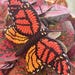 PATTERN Crochet Monarch Butterfly - Etsy