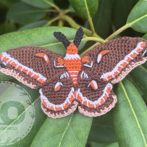 PATTERN Crochet Cecropia Moth - Etsy