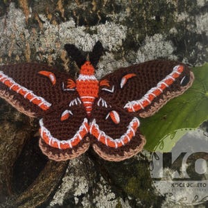 PATTERN Crochet Cecropia Moth - Etsy
