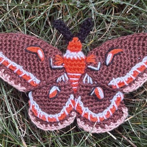 PATTERN Crochet Cecropia Moth - Etsy