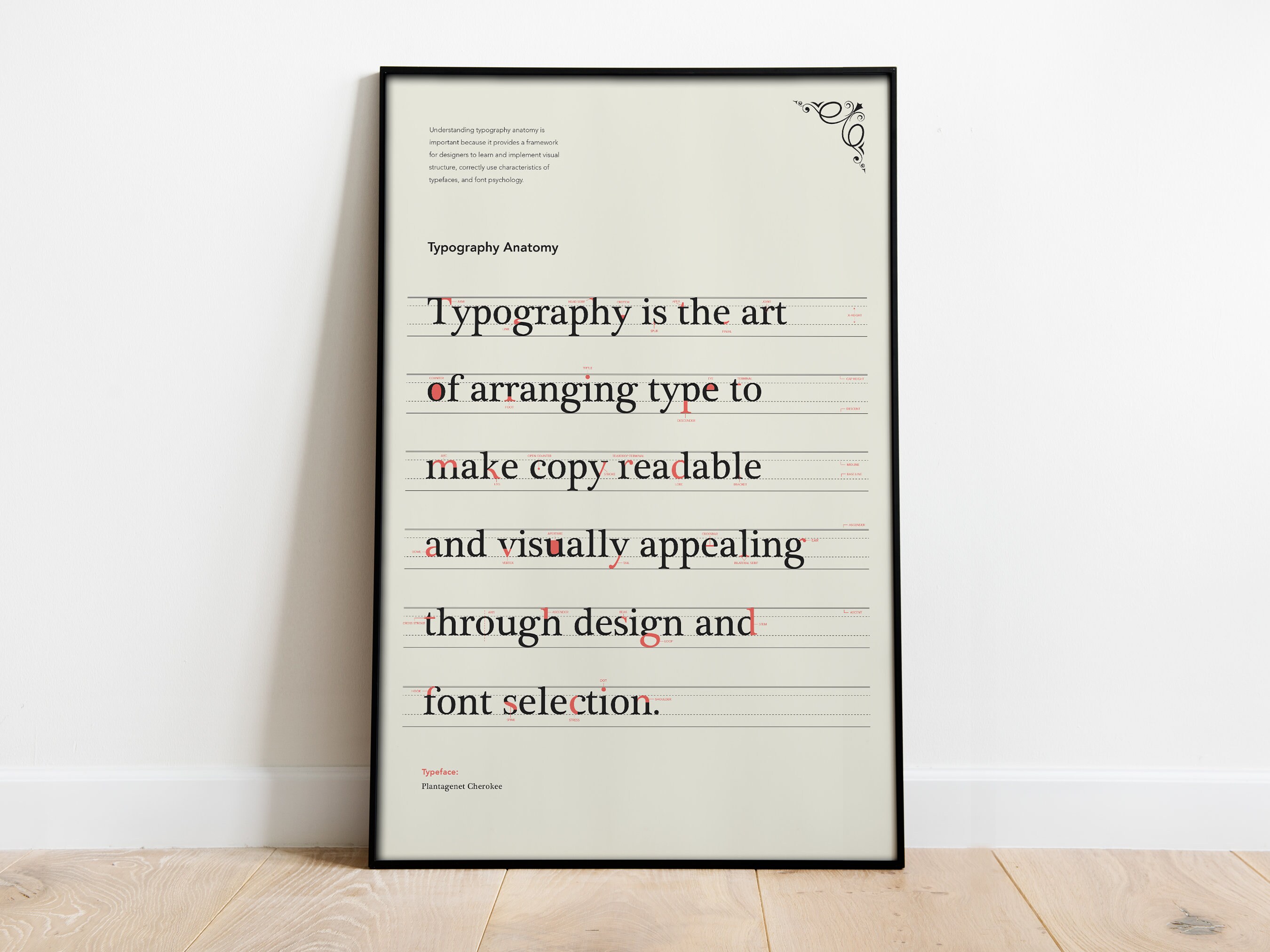 Type Anatomy Poster Educational Poster for Designers Typography ...