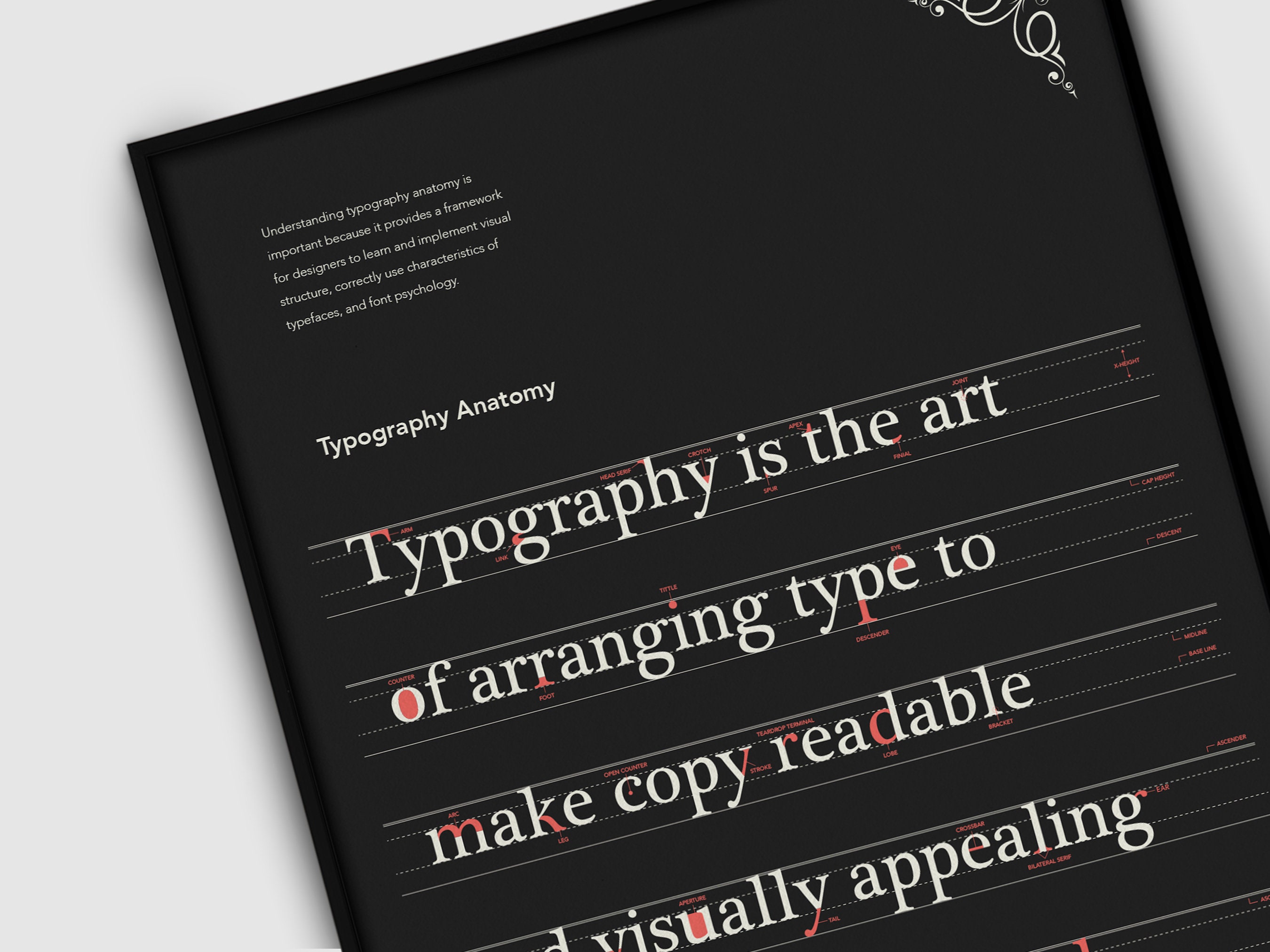 Type Anatomy Poster Educational Poster for Designers Typography ...