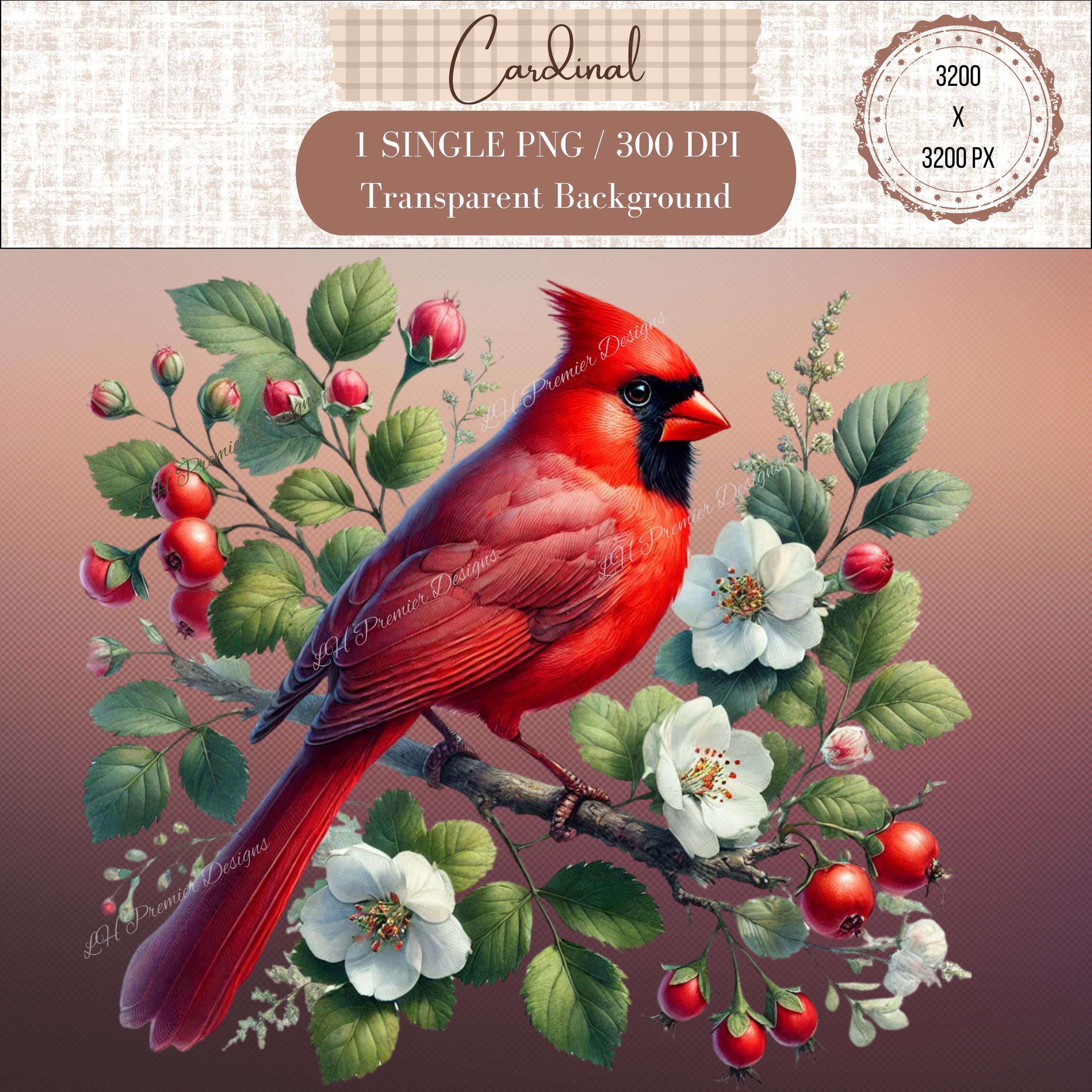 1 Single Clipart Image of a Cardinal Sitting on a Branch, for ...