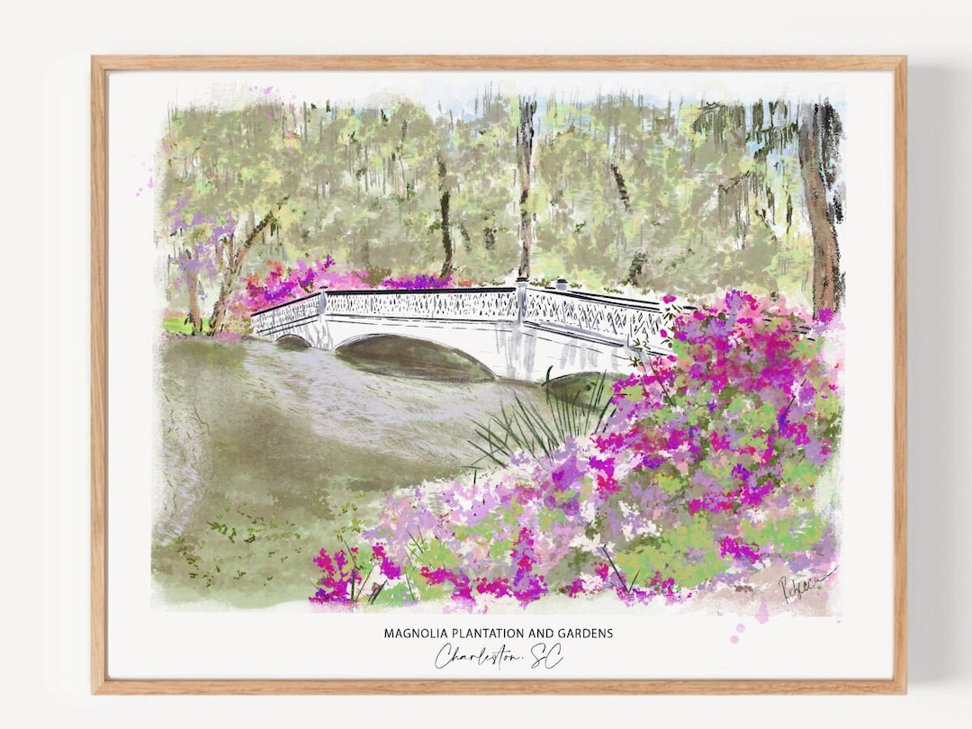 Magnolia Plantation - Art Print - Etsy