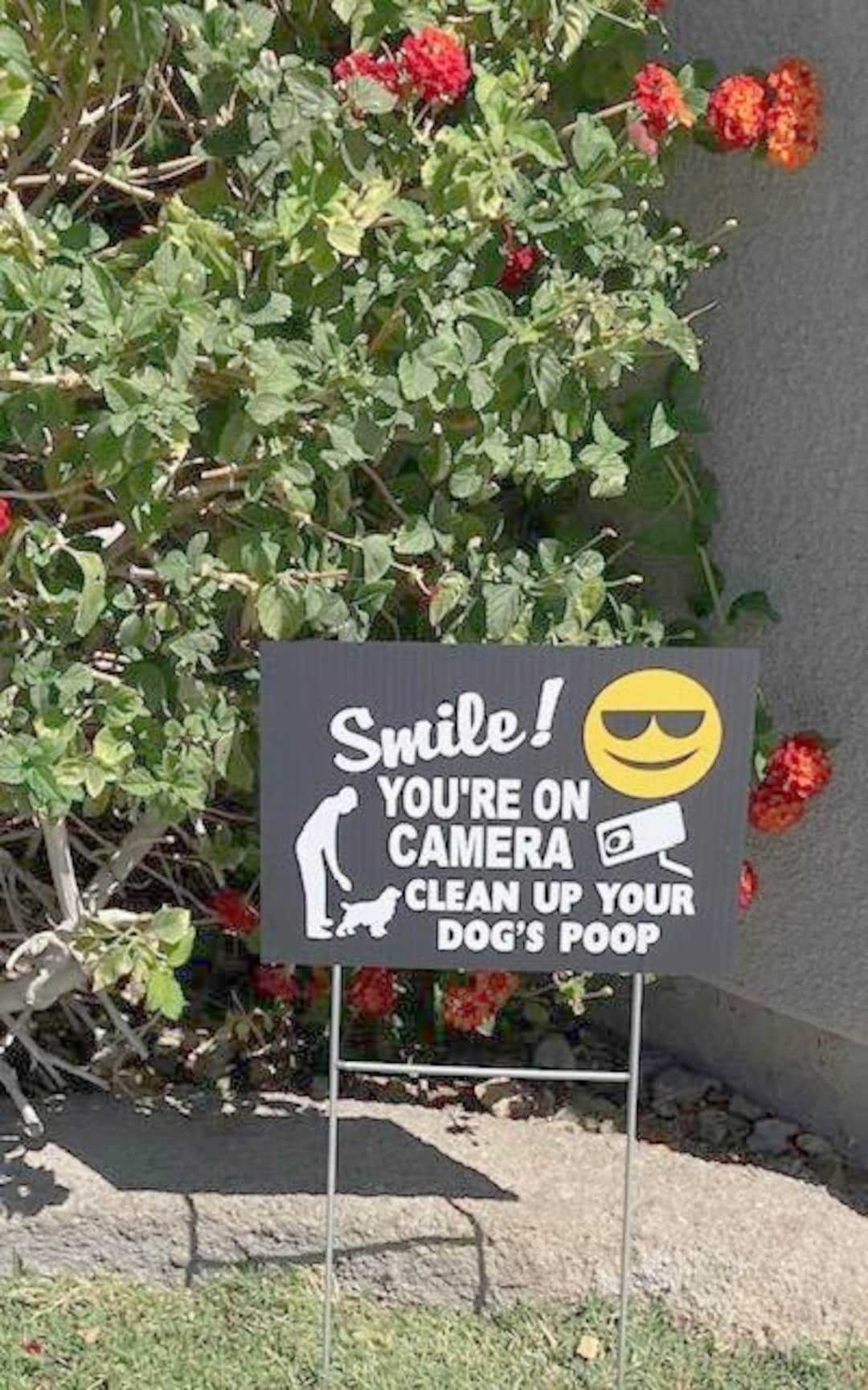 Set of 2 Signs Smile You're on Camera Clean up Your Dog's Poop Lawn ...