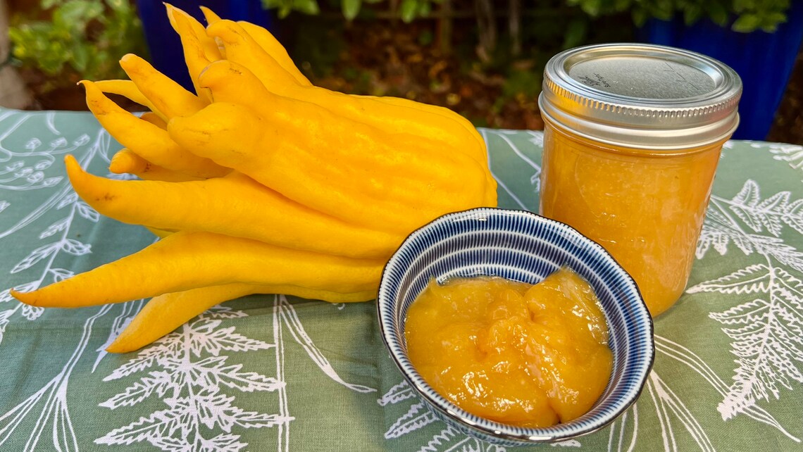 Season Special Buddha Hand Lemon Curd - Etsy