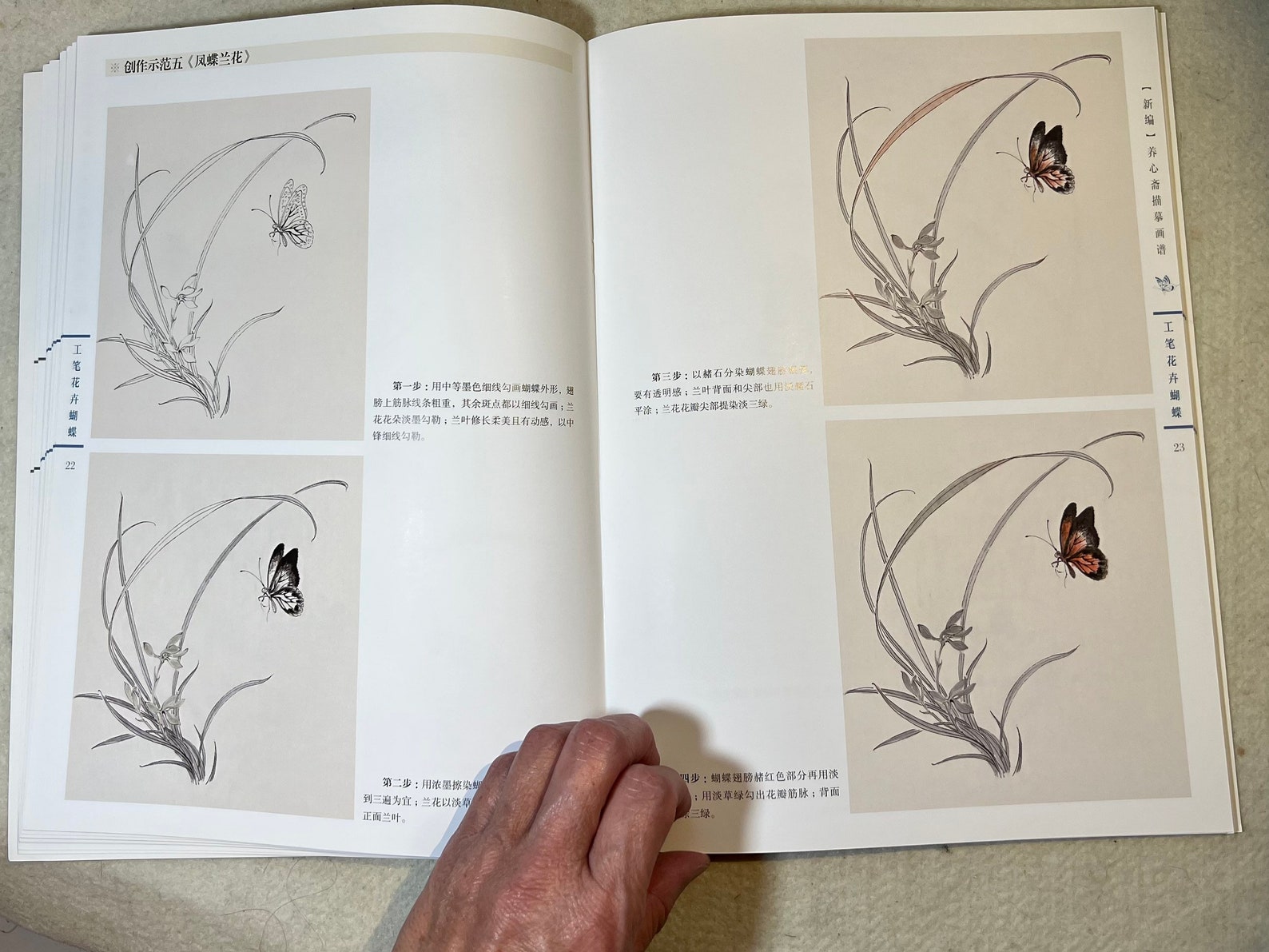Gongbi Butterfly Outline Book for Beginner Chinese - Etsy