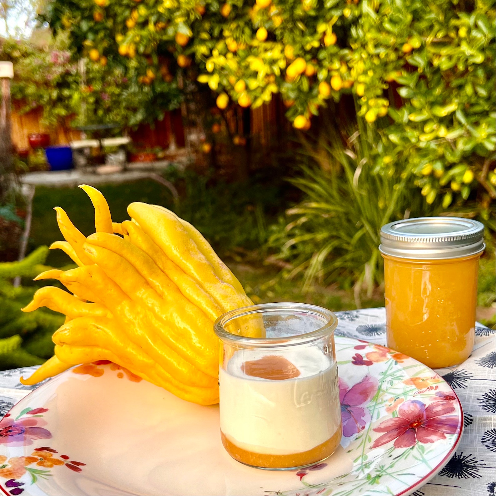 Season Special Buddha Hand Lemon Curd - Etsy