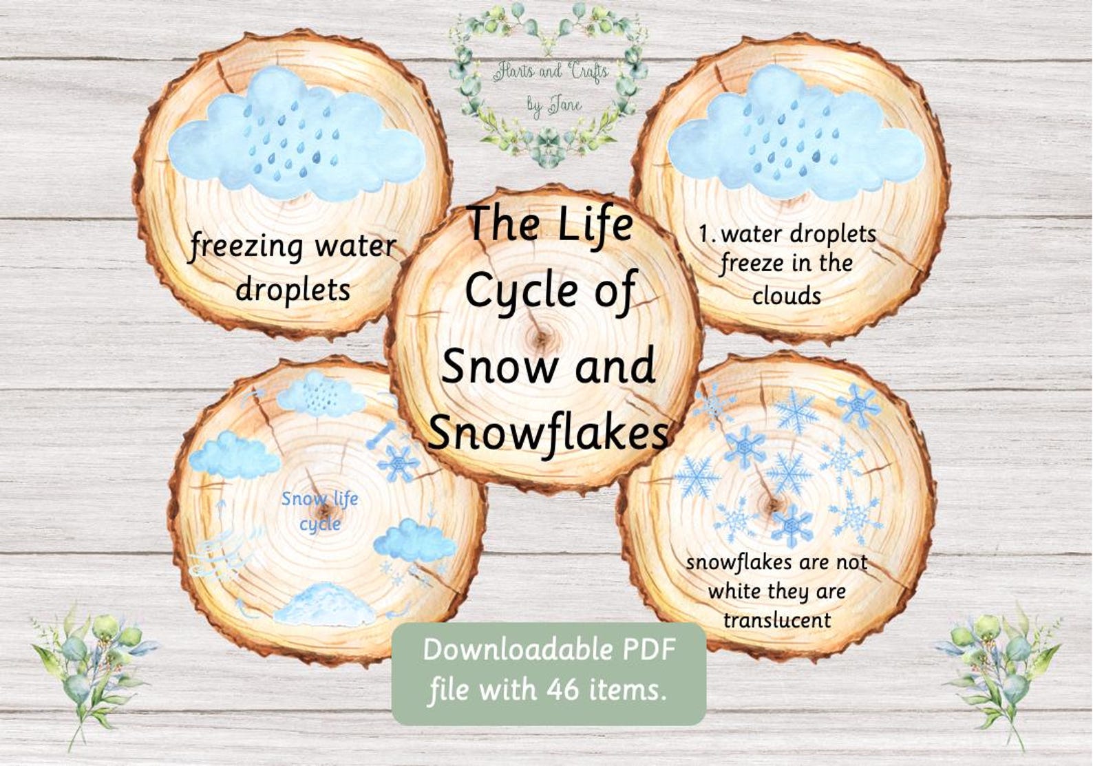 Snowflake Life Cycle Unit Study: Weather Flashcards (digital Download ...