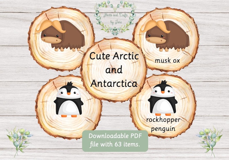 Arctic & Antarctica Winter Flashcards Learning Set (digital Download ...