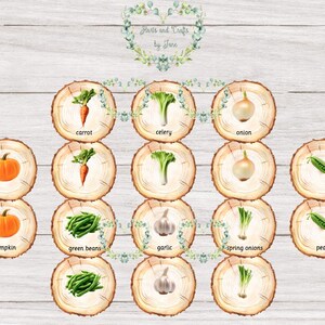 Vegetables Flash Cards: Montessori Learning (PDF Flashcards) - Etsy