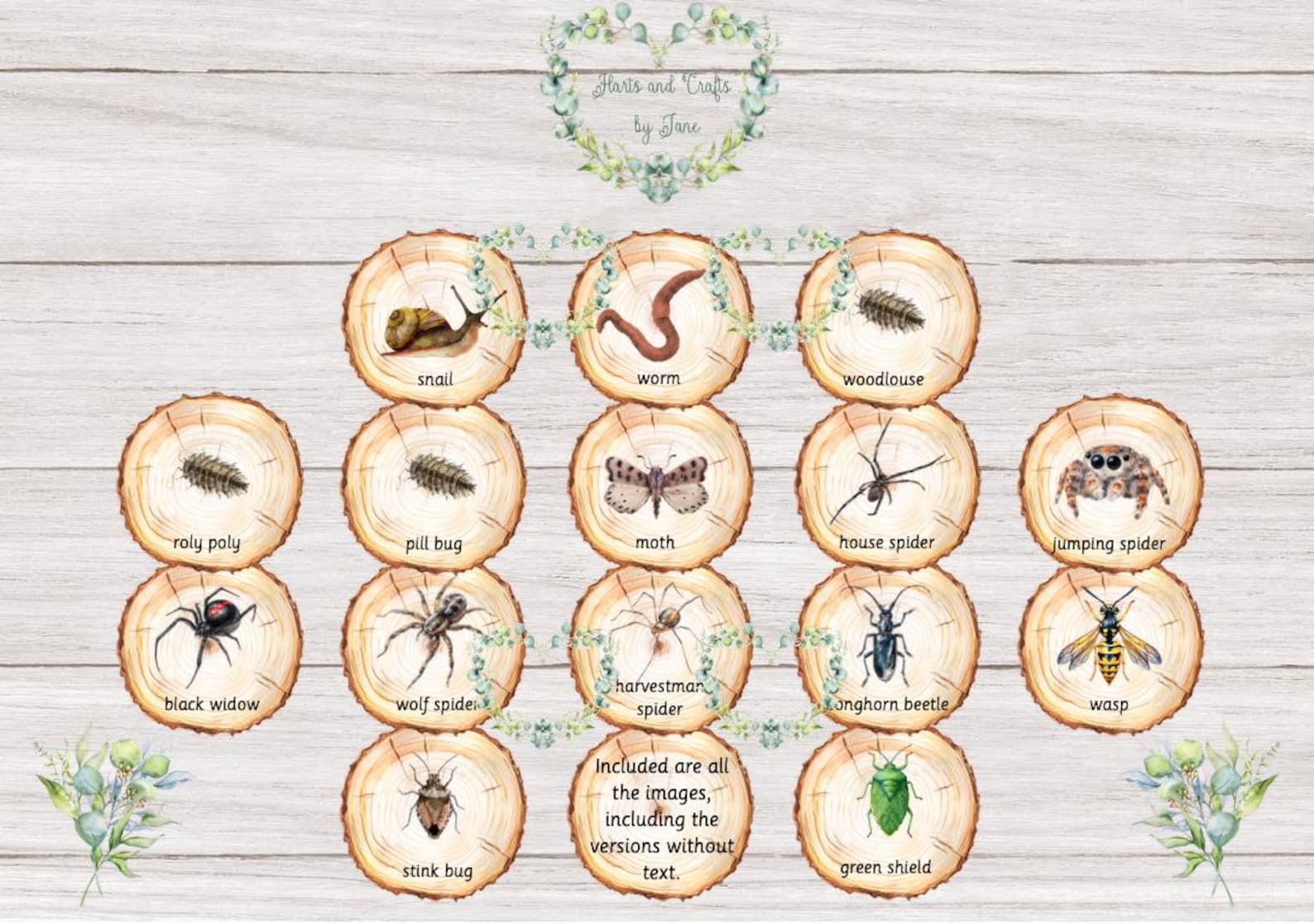 Minibeasts Flashcards: Nature Insects Unit Study (PDF Download) - Etsy ...