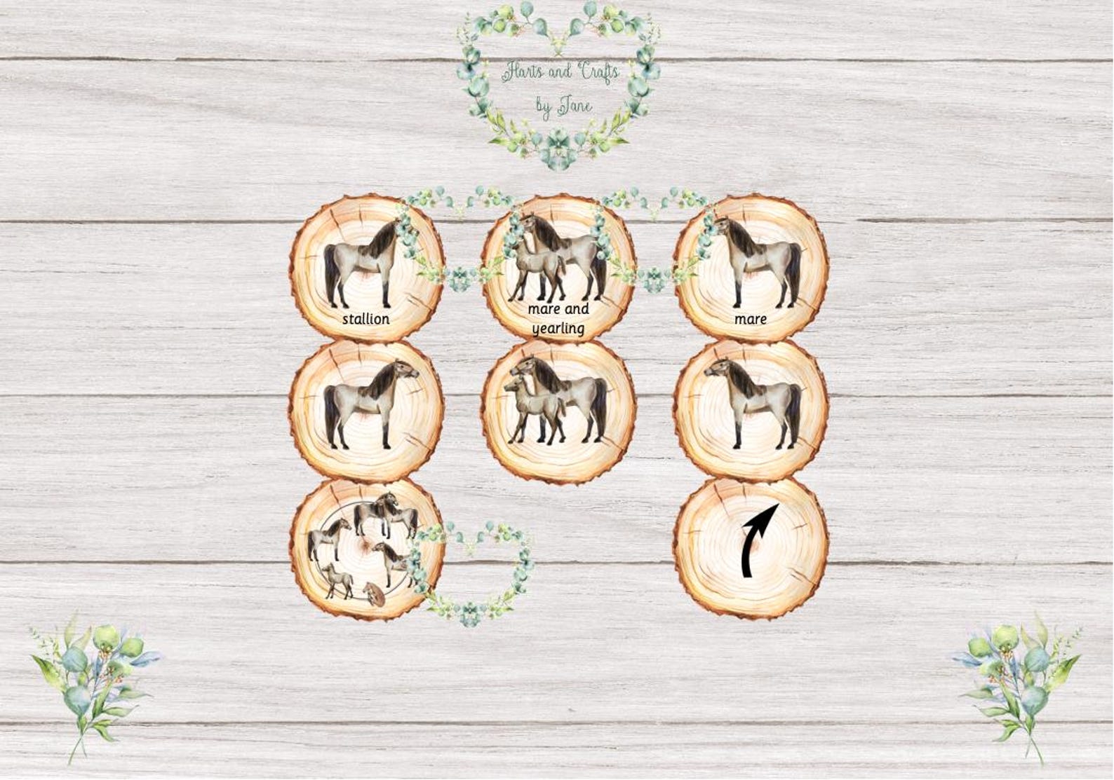 Horse Life Cycle Horse Unit Study - Etsy