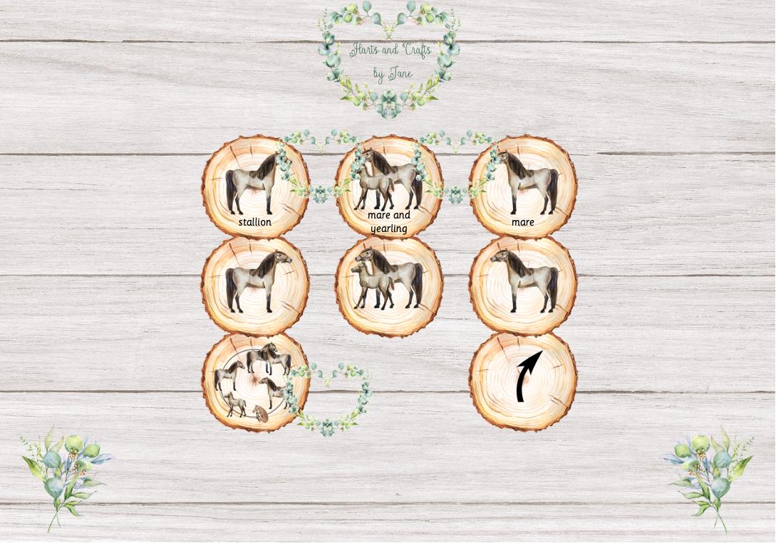 Horse Life Cycle Horse Unit Study - Etsy
