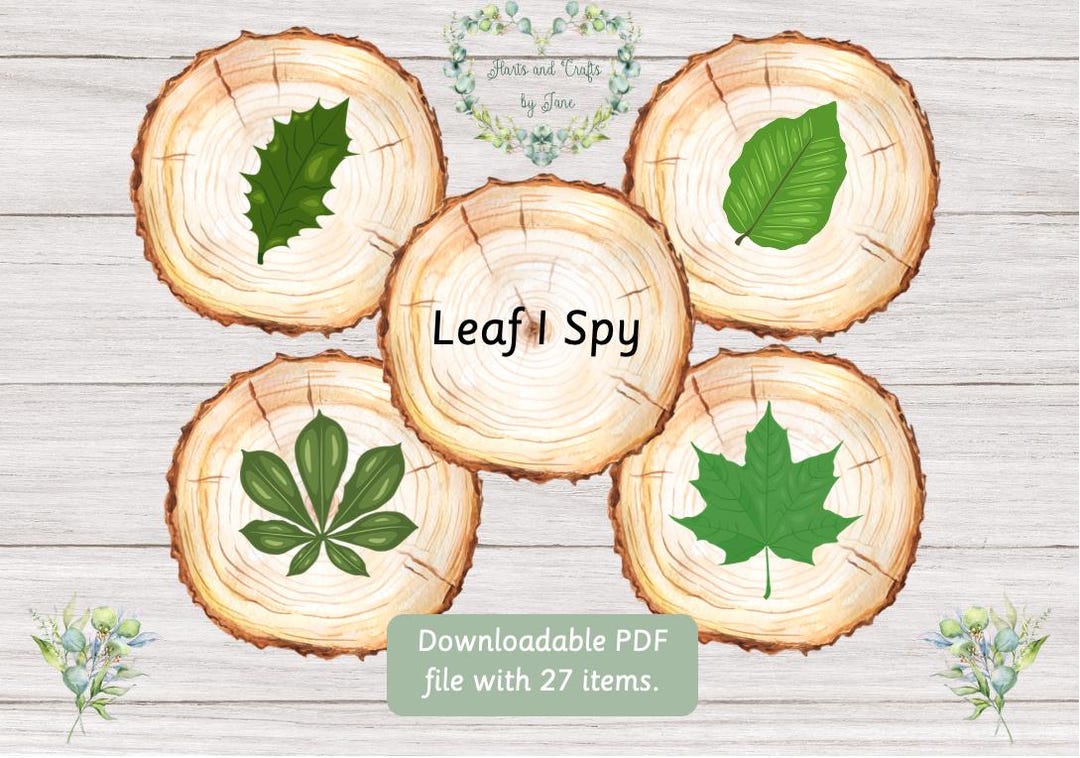 Leaves Flashcards Leaf Unit Study - Etsy