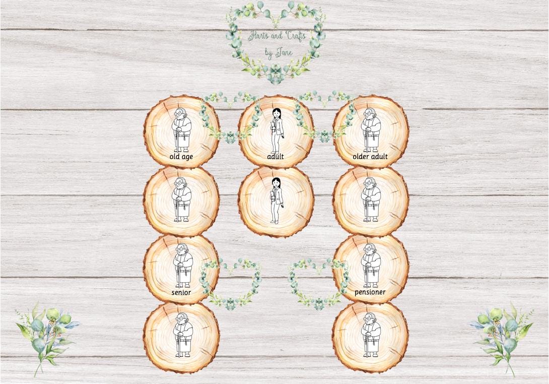 Human Life Cycle Flash Cards: Stages of Life (PDF Download) - Etsy