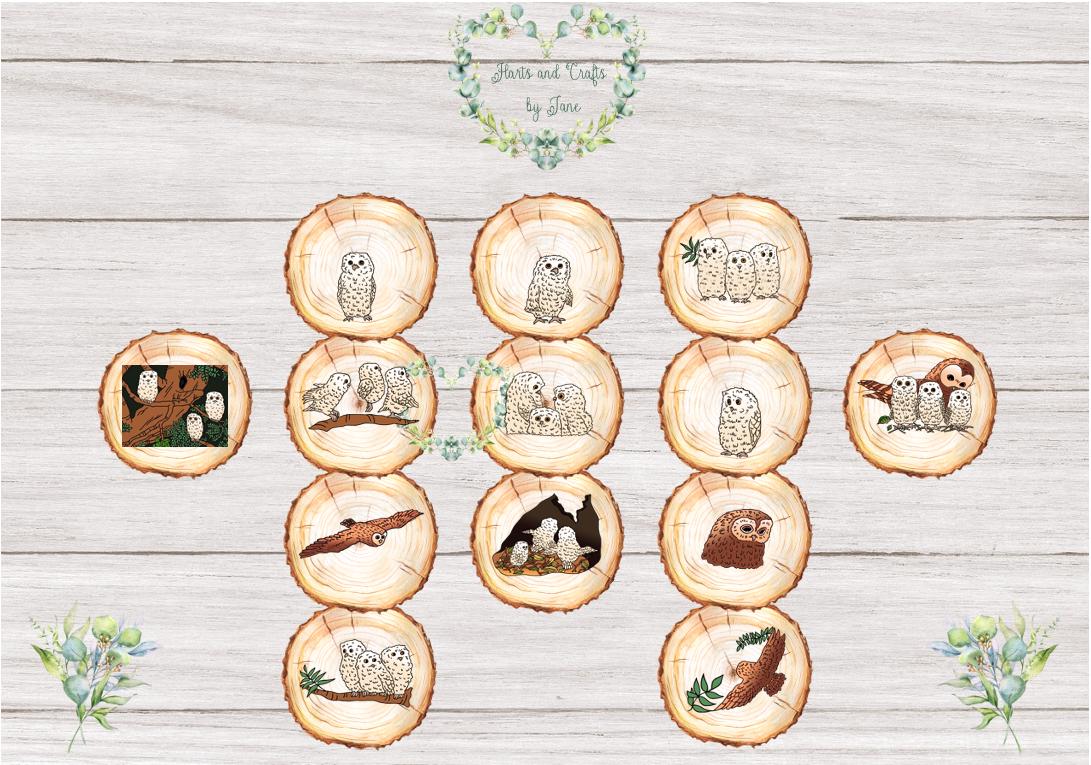 Owl Babies Flash Cards Owl Babies Story Owl Babies Sory Logs Owl Babies ...