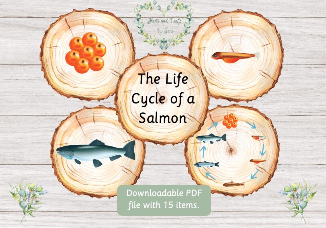 Salmon Life Cycle Salmon Unit Study - Etsy Canada