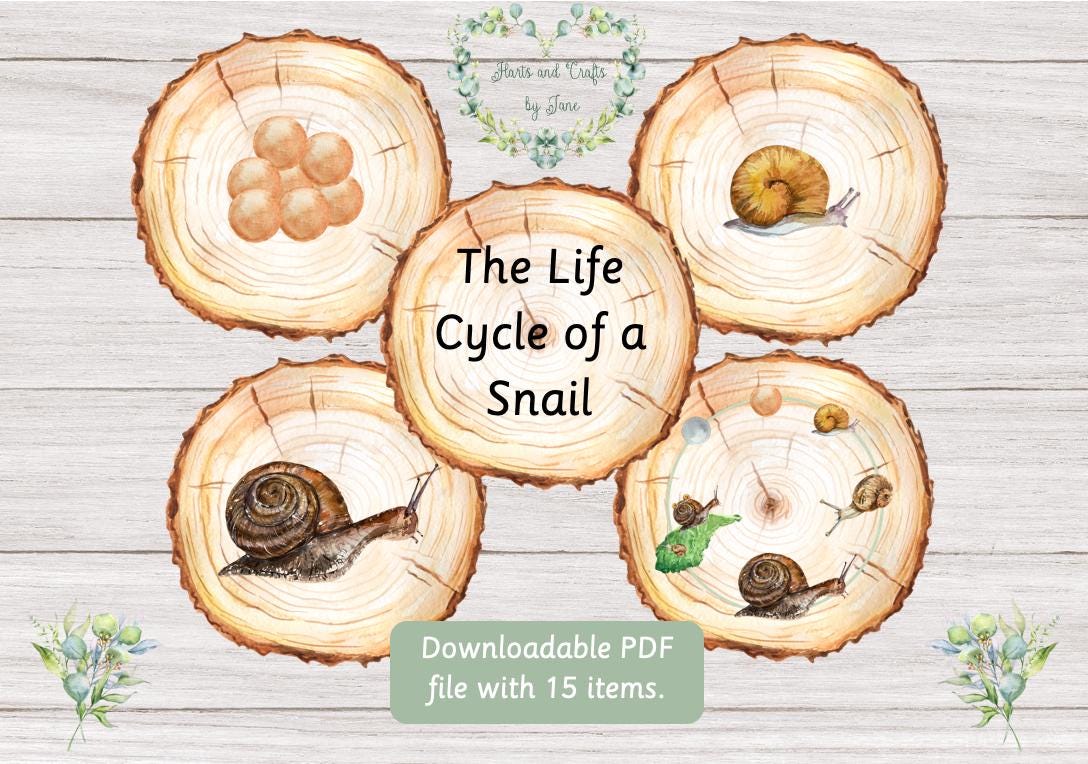 Snail Life Cycle Flash Cards: Montessori Nature Unit Study (PDF ...