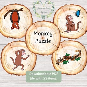 Monkey Puzzle Flash Cards Monkey Puzzle Story Logs Monkey Puzzle Story ...