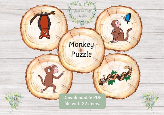 Monkey Puzzle Julia Donaldson