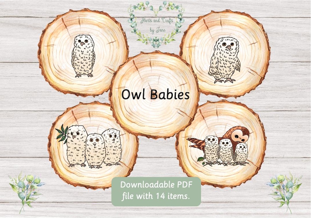 Owl Babies Flash Cards Owl Babies Story Owl Babies Sory Logs Owl Babies ...