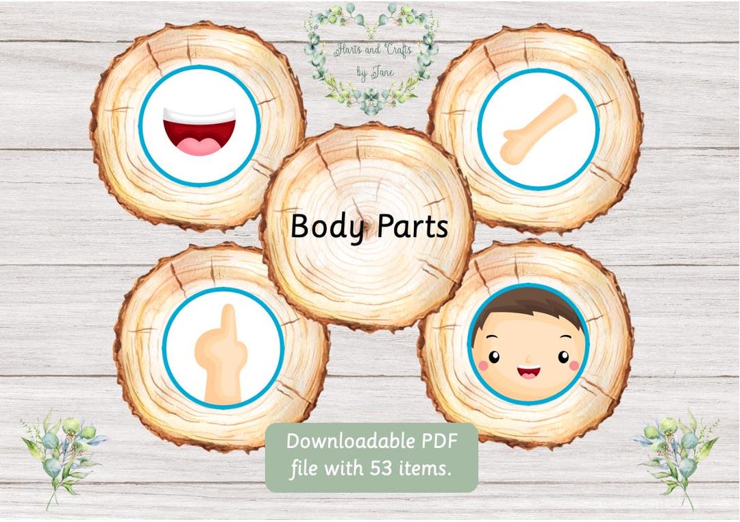 Body Parts Flash Cards Body Parts Toddler Flash Cards All About Me ...