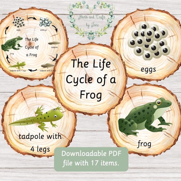 Frog Life Cycle - Etsy