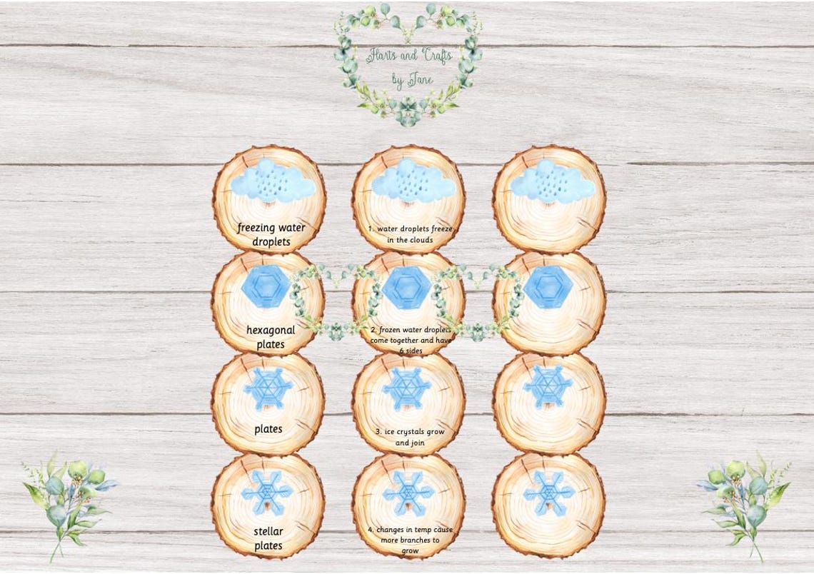 Snowflake Life Cycle Unit Study: Weather Flashcards (digital Download ...