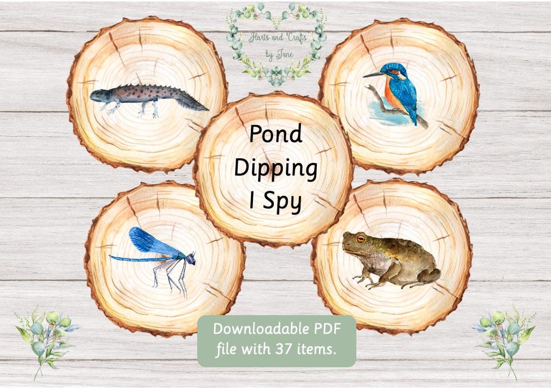 Pond Dipping Flash Cards: Nature I Spy Game (PDF Download) - Etsy
