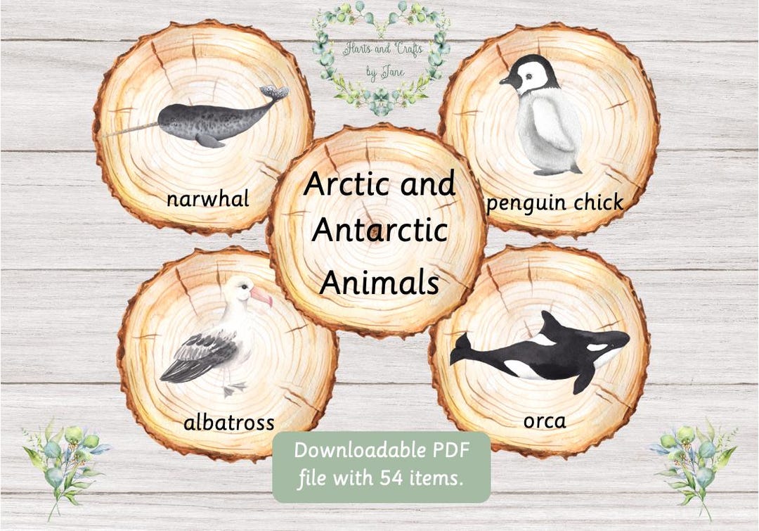 Arctic and Antarctic Animals Arctic Animals Antarctic Animals Arctic ...
