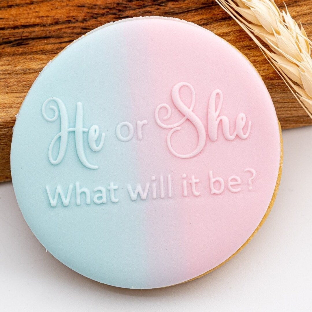 He or She What Will It Be Raised Cookie Stamp - Gender Reveal Cookie - Etsy