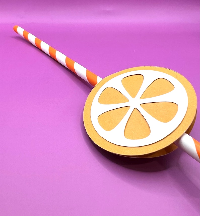 Citrus Paper Straws With Fruit Slice Toppers – Eco Friendly Party ...
