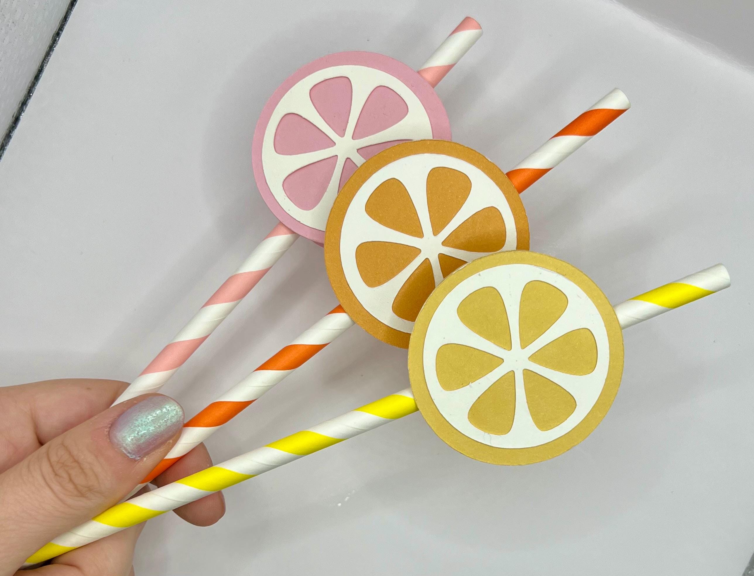 Citrus Paper Straws With Fruit Slice Toppers – Eco Friendly Party ...