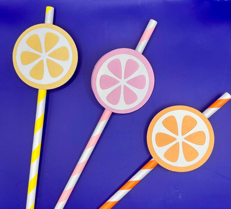 Citrus Paper Straws With Fruit Slice Toppers – Eco Friendly Party ...
