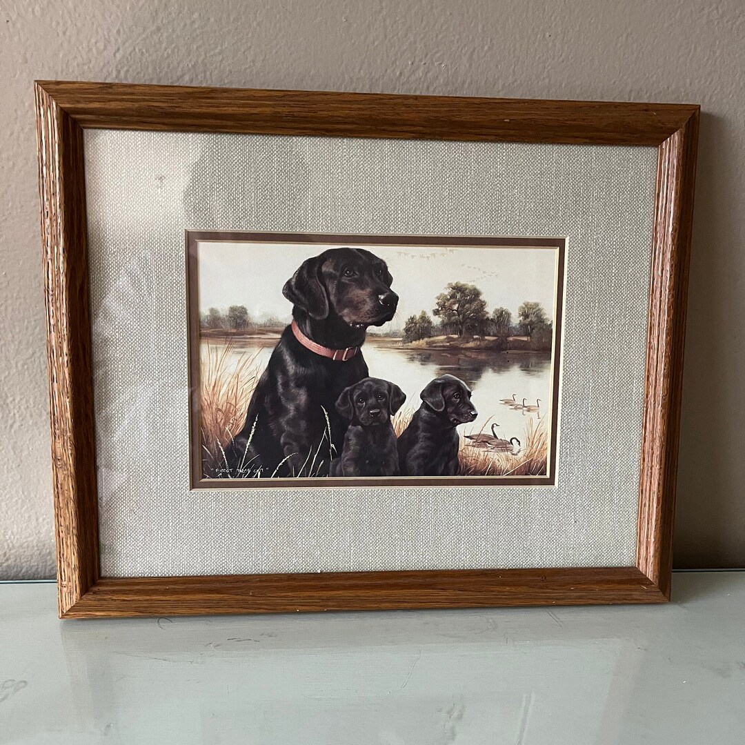 Black Labrador Print by Jim Lamb / First Time Out Dog Picture / Framed ...