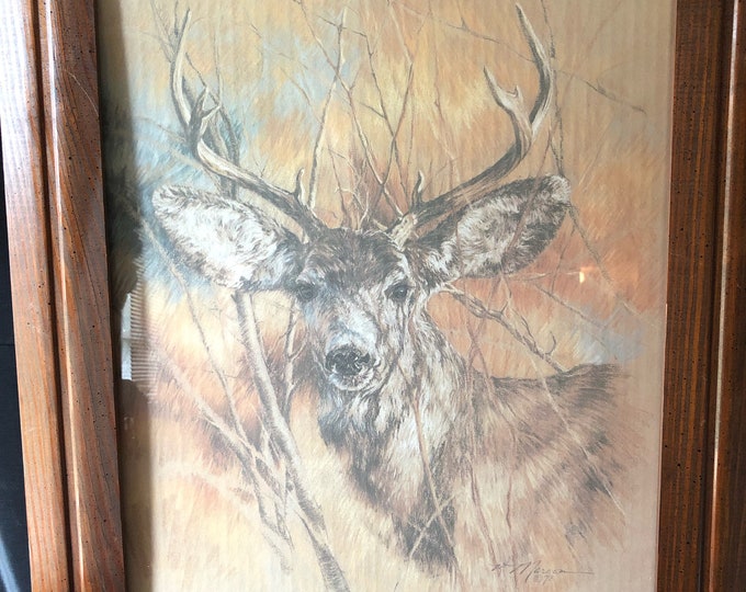 Vintage Deer / Buck With Rack Picture, Home Interiors, Circa 1978 With ...
