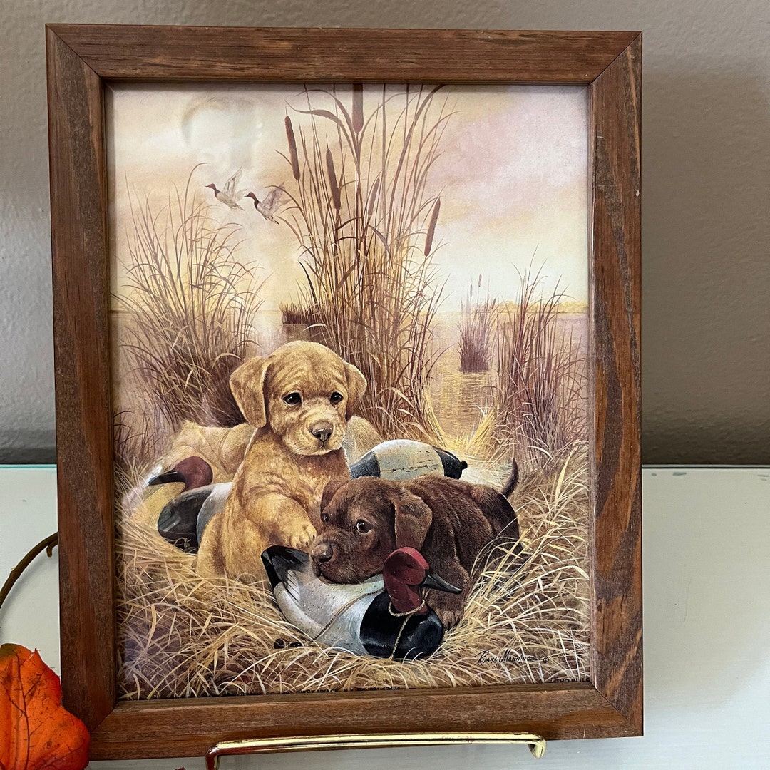 Brown and Yellow Labrador Puppy Hunting Picture / Framed Picture of ...