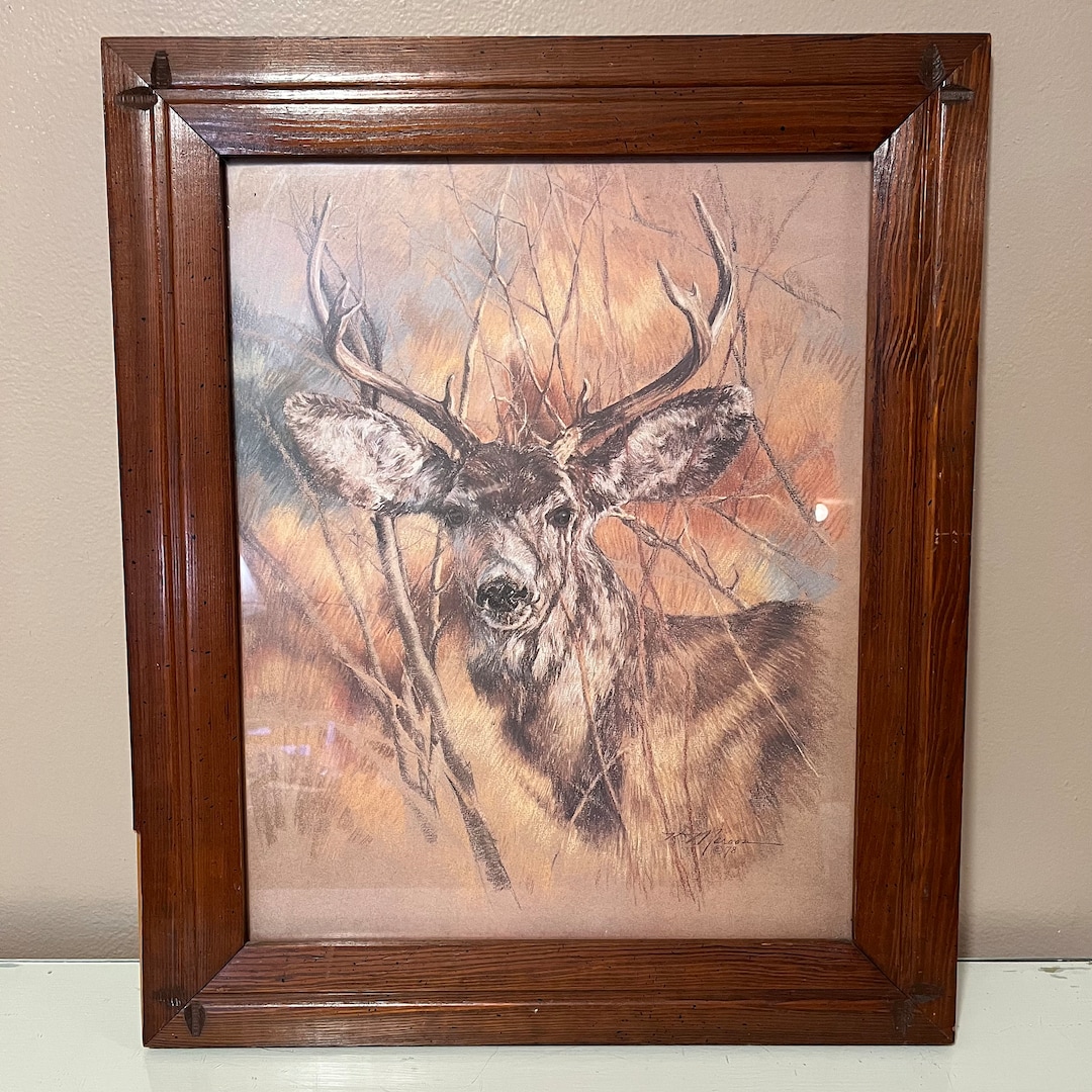 Vintage Deer / Buck With Rack Picture, Home Interiors, Circa 1978 With ...
