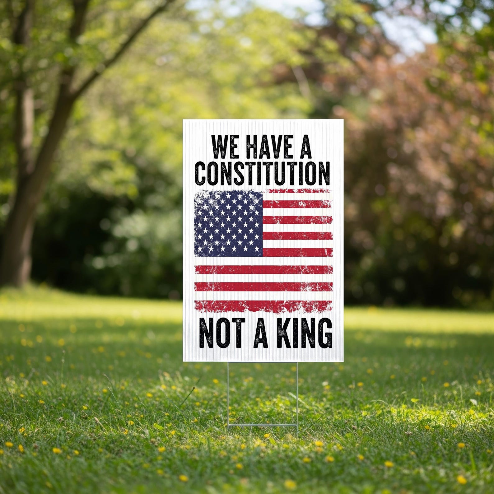 Printable Digital Download Protest Sign – 'we Have a Constitution, No ...